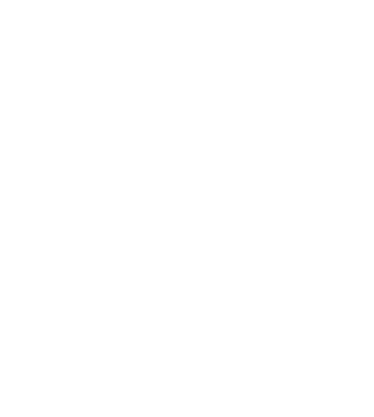 Diana Foye | Foye Legal